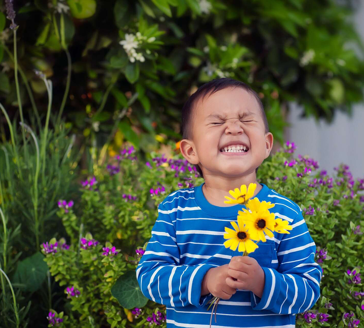 Karitane Toddler Clinic | Behaviour Support for Families